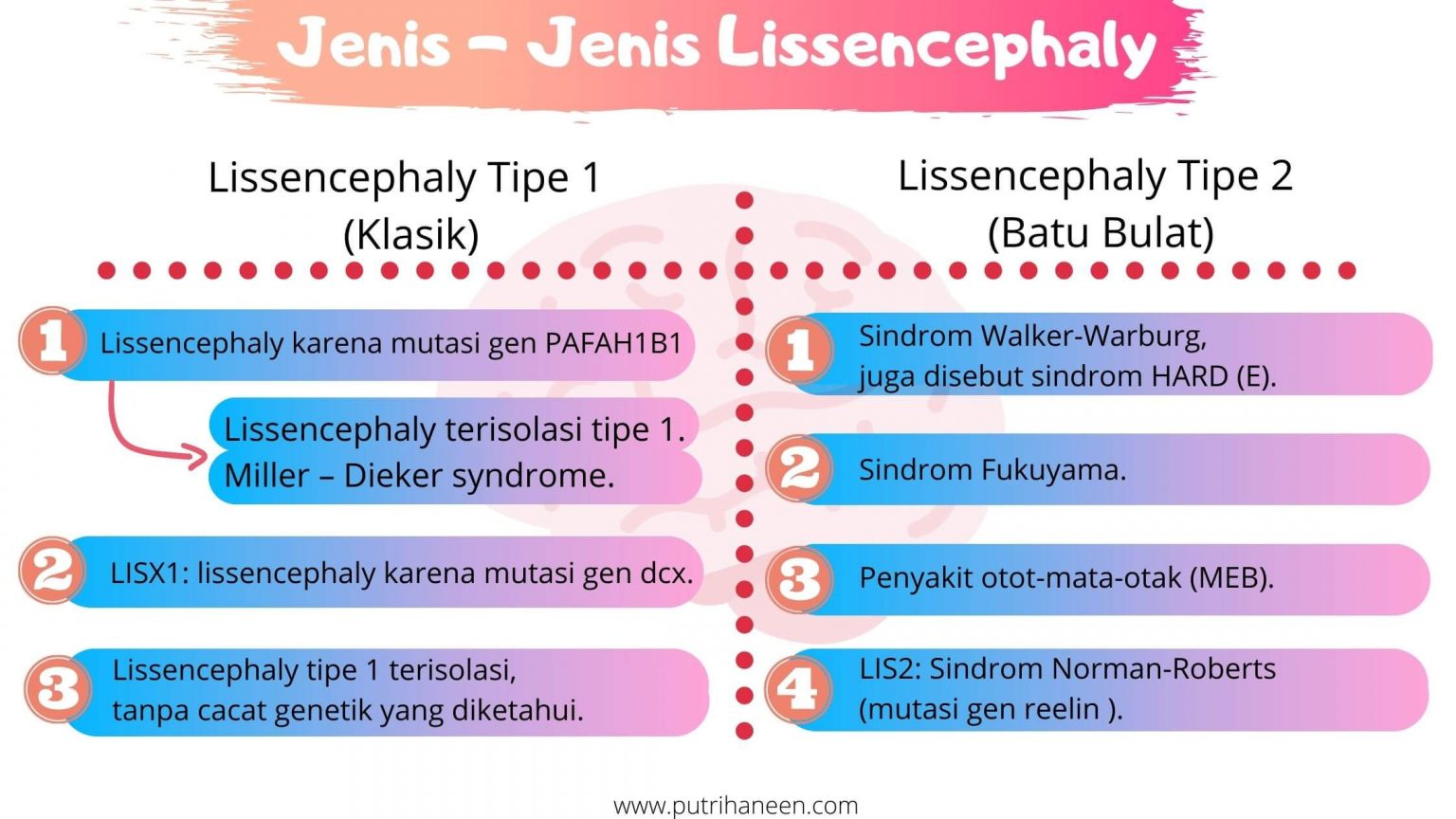 Mengenal Lissencephaly (Smooth Brain) - Putri Haneen